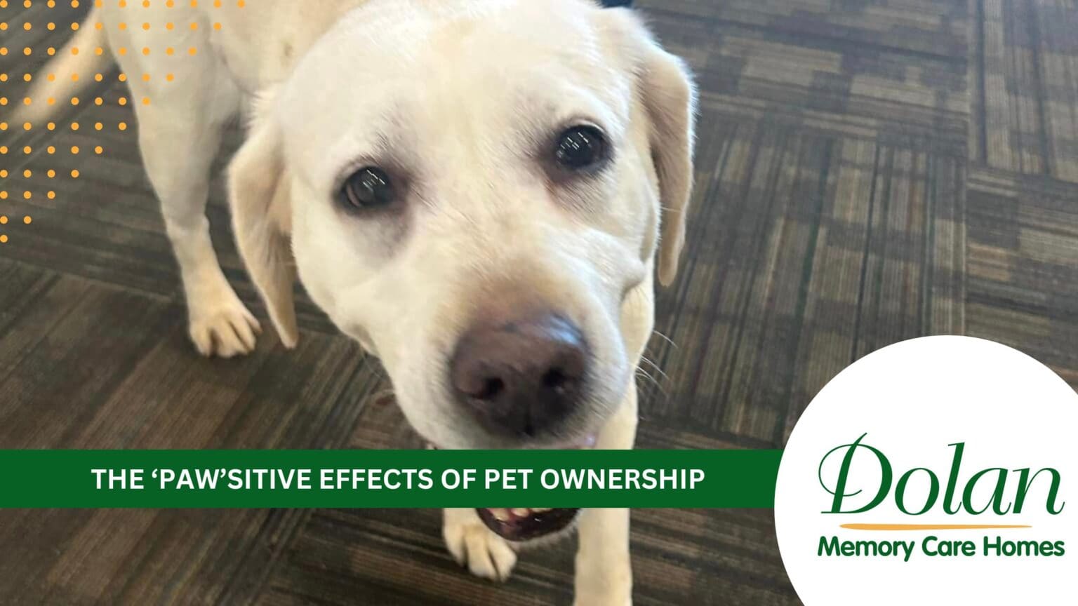 Dolan Care News: Latest Updates on Expert Health Tips